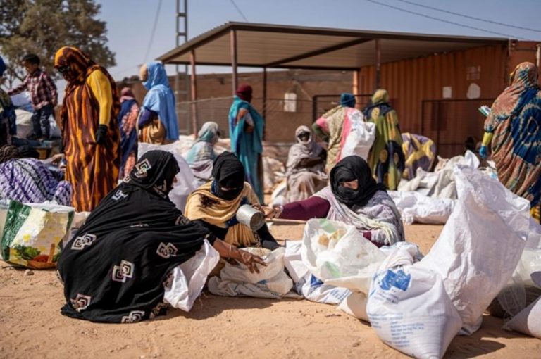 World Refugee Day: UNHCR Algeria Calls for Solidarity and Action in ...
